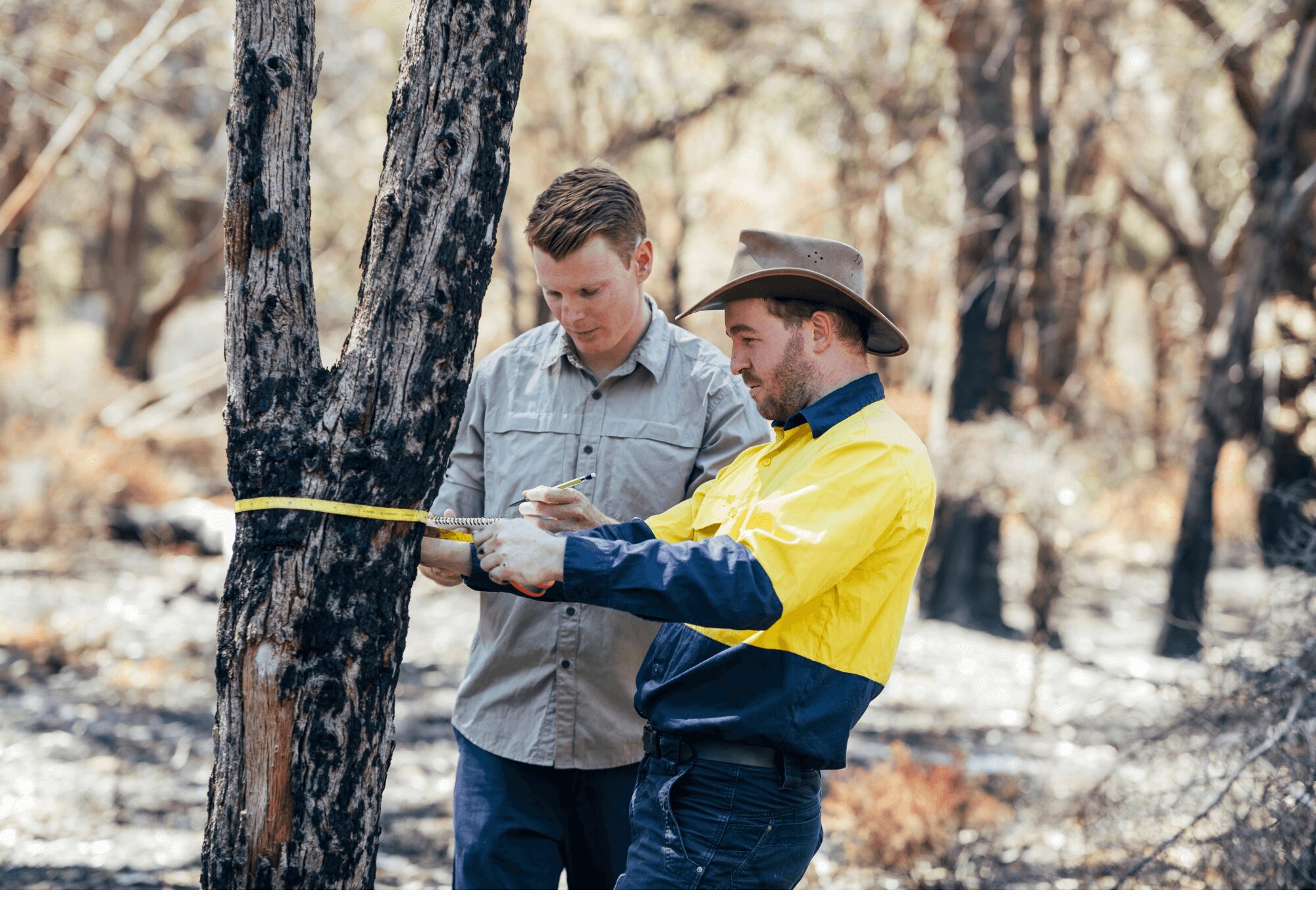 Environmental training and education