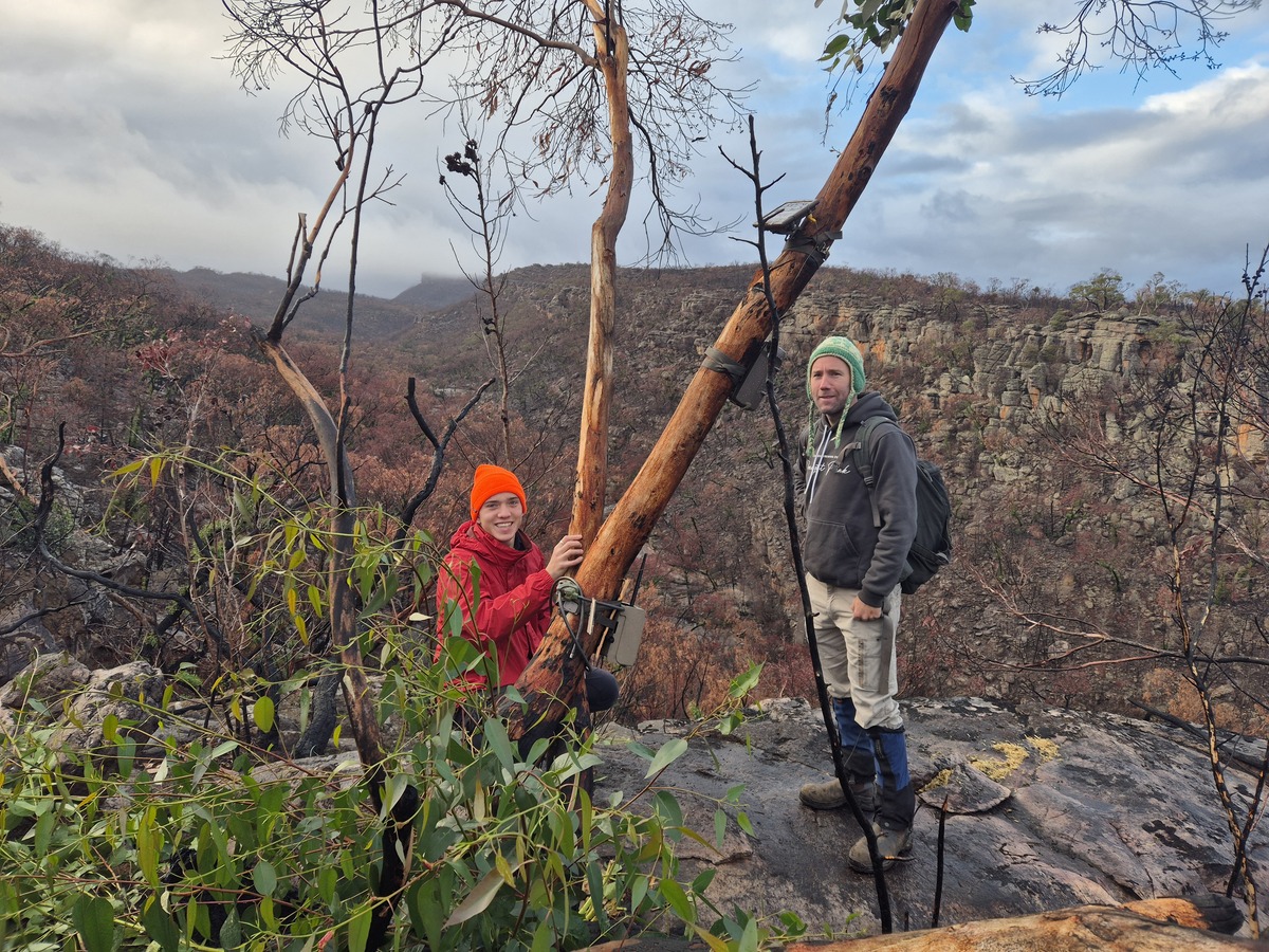 Threatened species Grampians