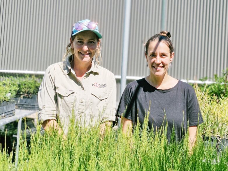 Growing food and habitat for the threatened Glossy Black-cockatoo